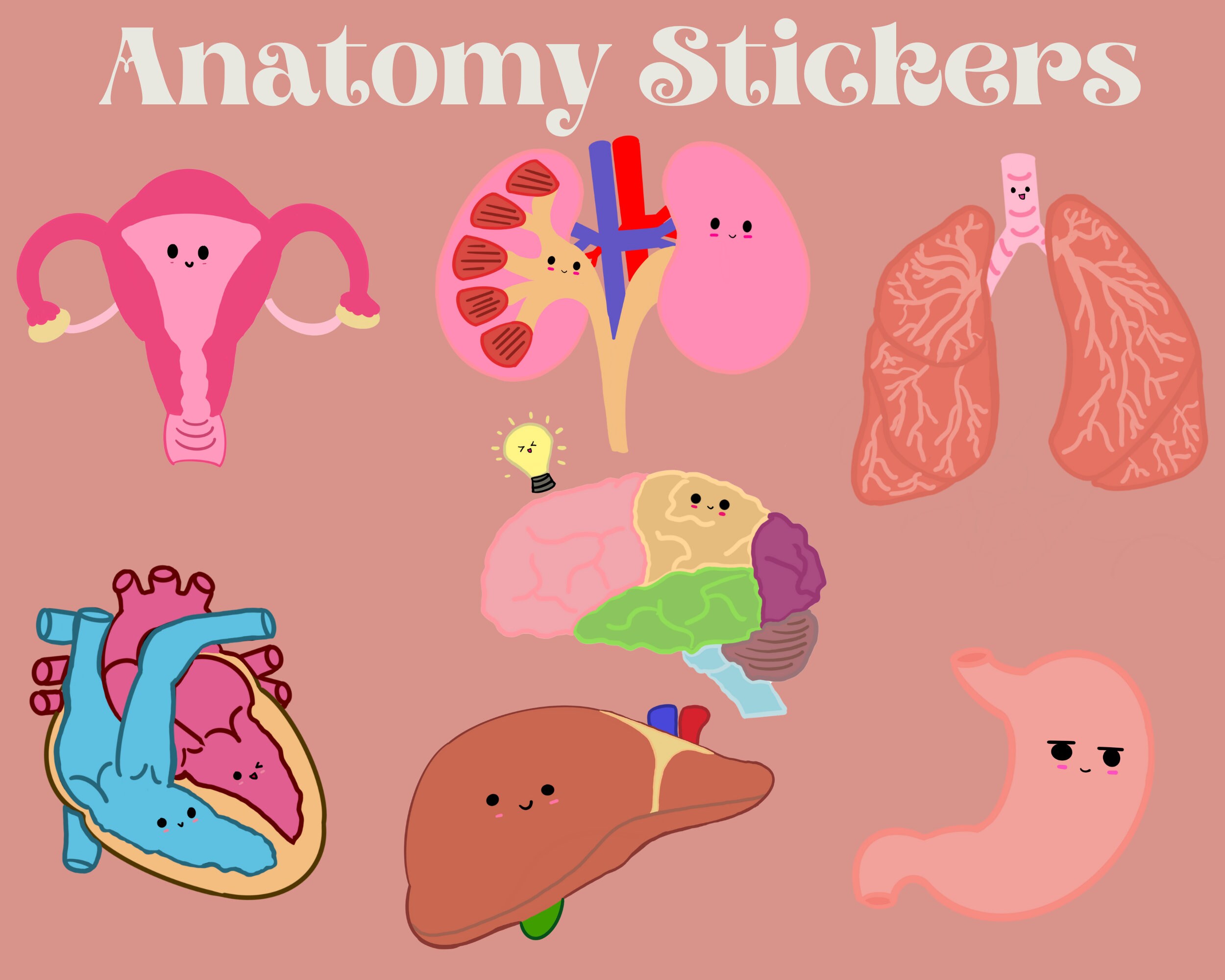 Cute Anatomy Stickers, Liver, Heart, Stomach, Brain, Lung, Uterus ...
