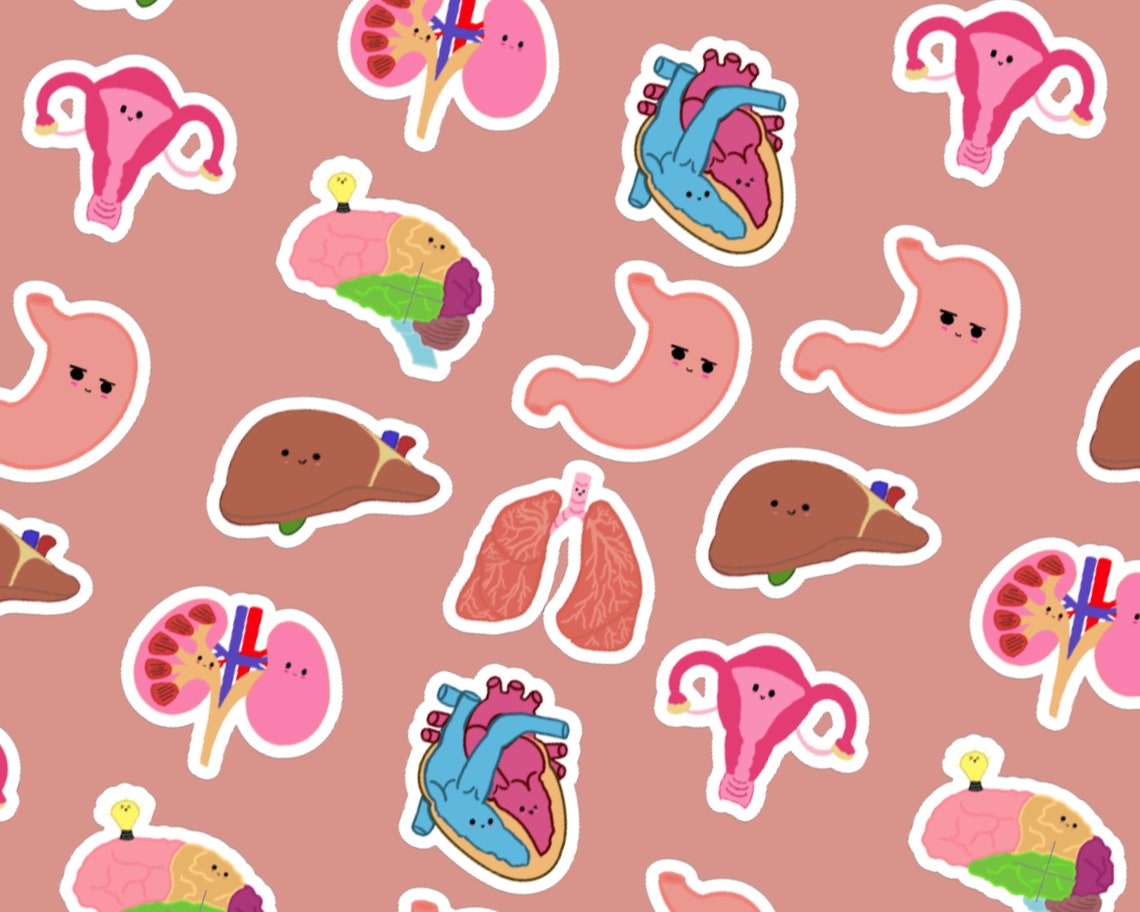 Cute Anatomy Stickers, Liver, Heart, Stomach, Brain, Lung, Uterus ...