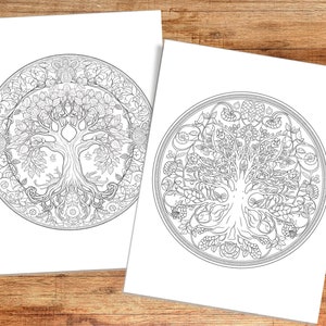 Tree Mandala Coloring Pages Printable Coloring Sheets - Etsy