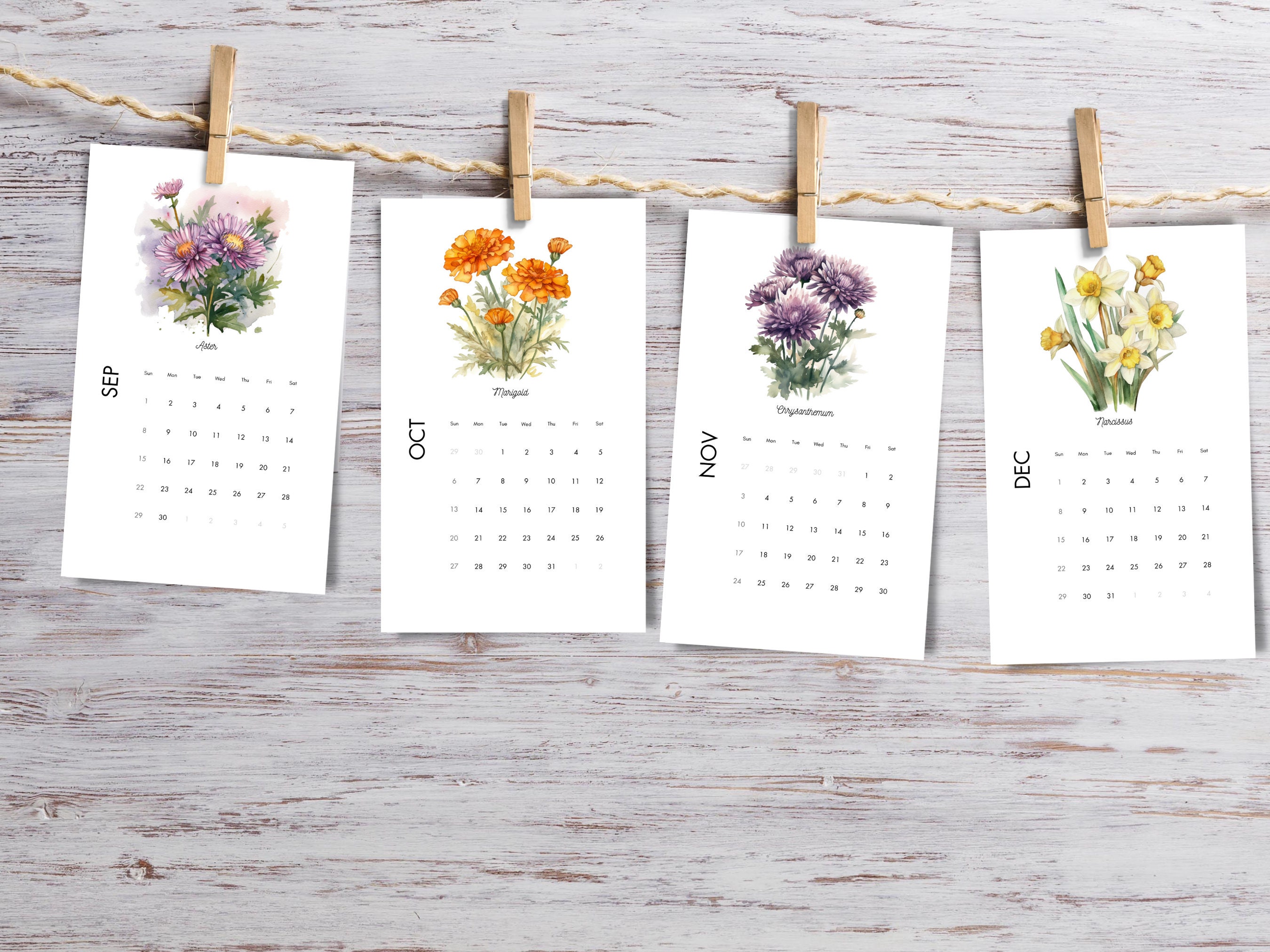 2024 Zodiac Birth Flower Calendar Mystical Astrology - Etsy