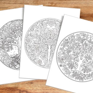 Tree Mandala Coloring Pages Printable Coloring Sheets - Etsy