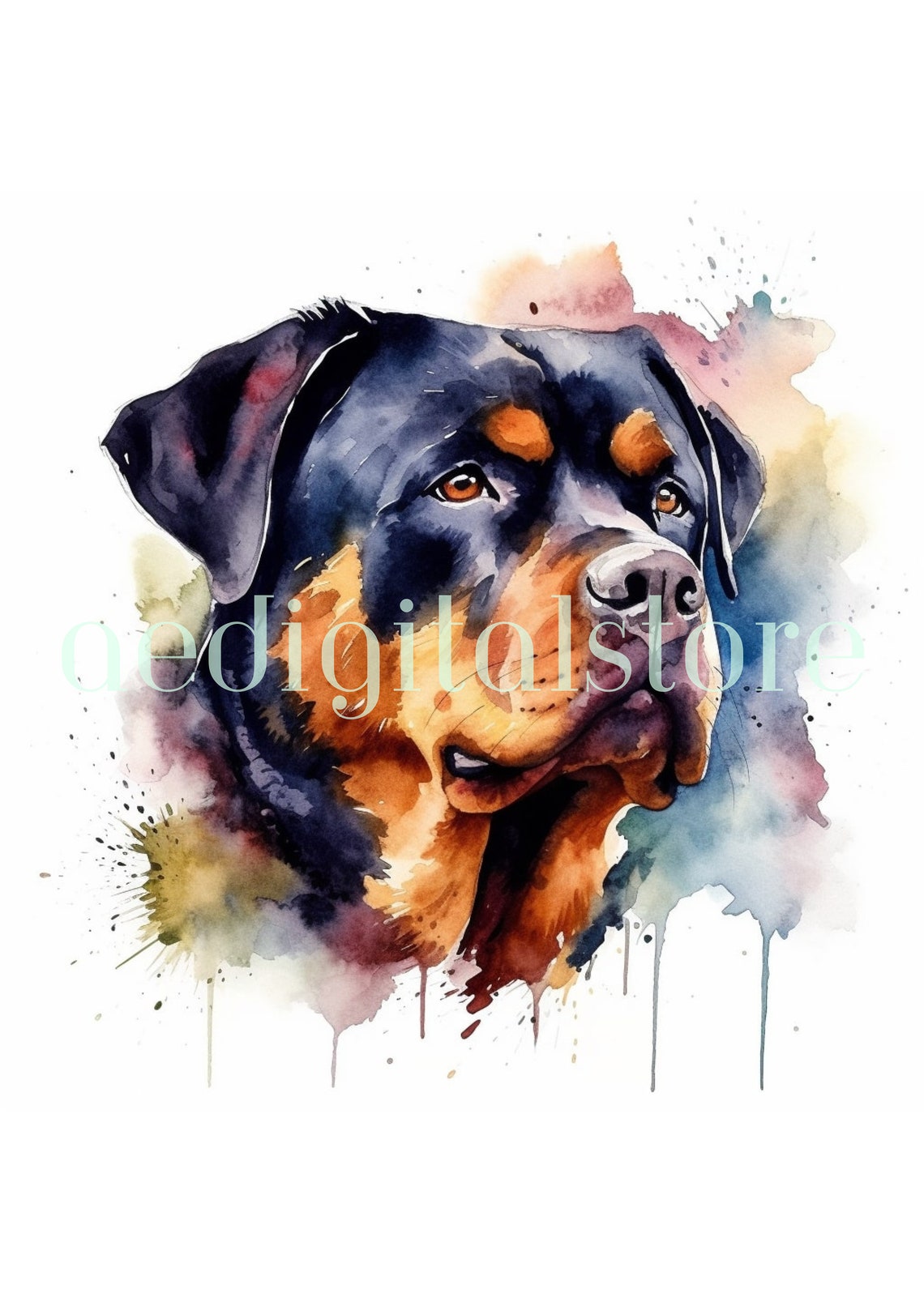 Rottweiler High Quality JPG Clipart - Digital Download - for Digital ...