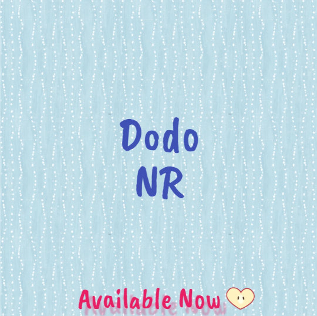 Dodo NR Adopt Me Virtual Pet - Etsy