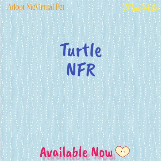 Turtle Names Meaning