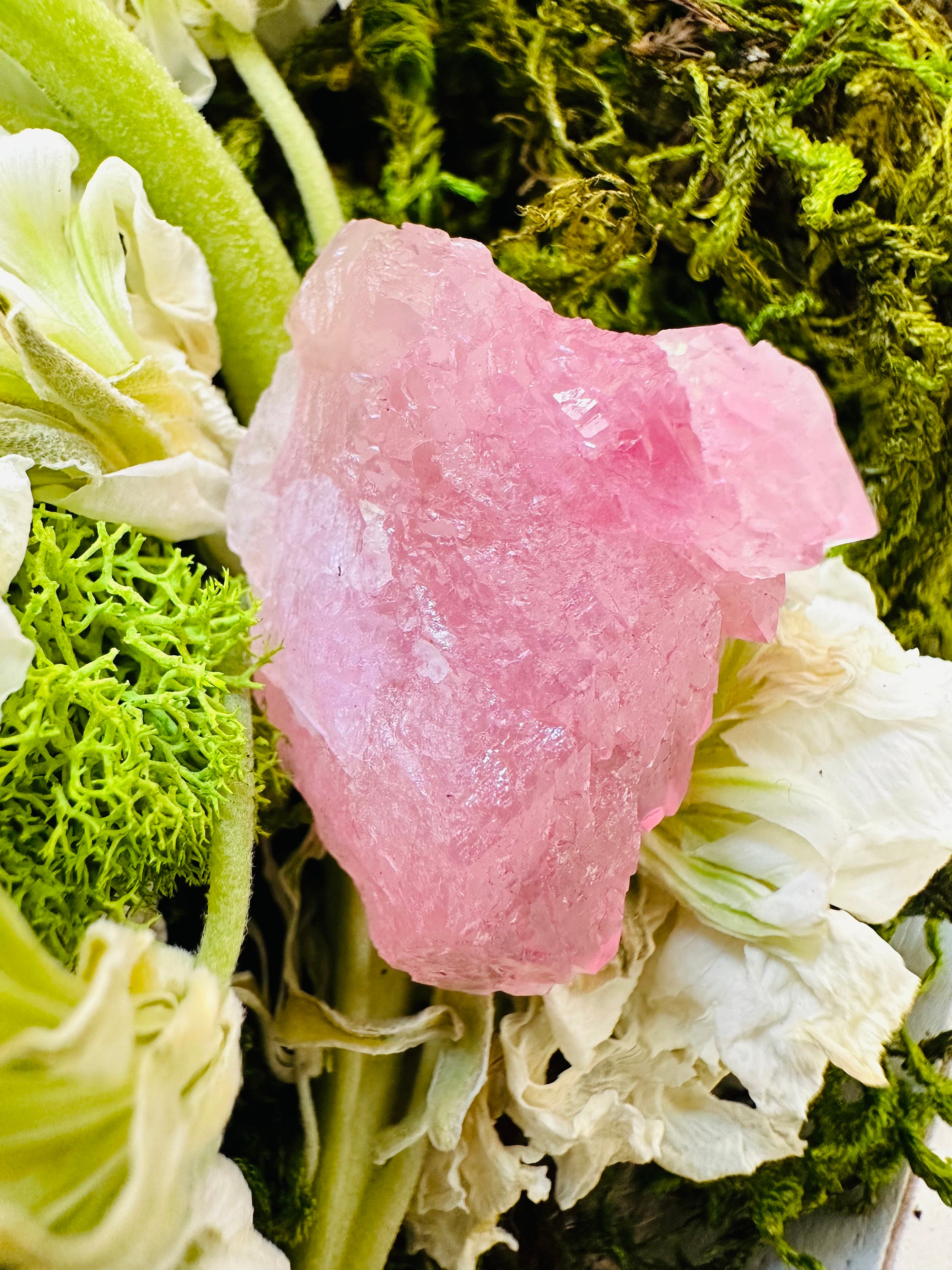 Crystallized Rose Quartz Brazil RARE - Etsy