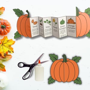 Pumpkin Life Cycle Folding Surprise Paper Craft, Fall Craft Printable ...