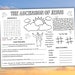 Ascension of Jesus Activity Placemat, Ascension Day Coloring Page for ...