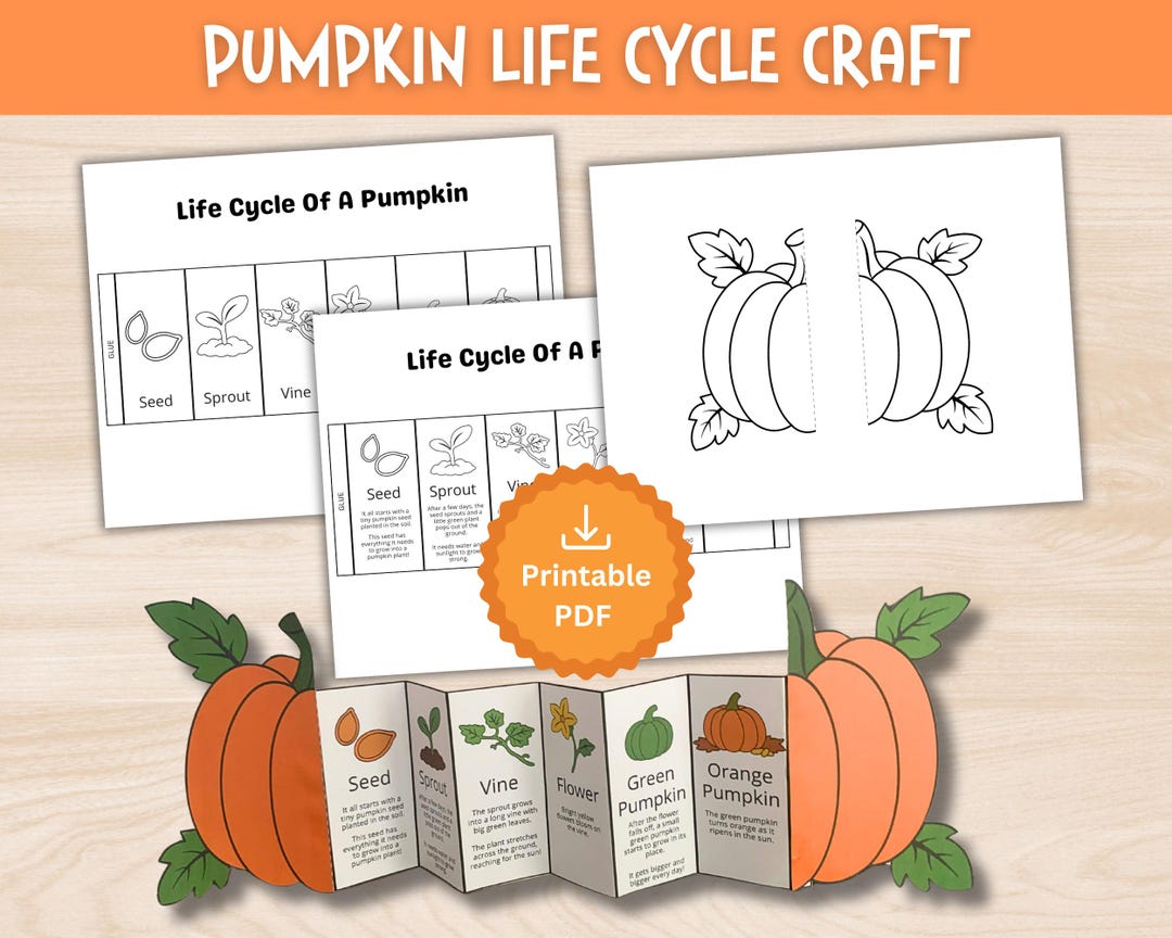 Pumpkin Life Cycle Folding Surprise Paper Craft, Fall Craft Printable ...