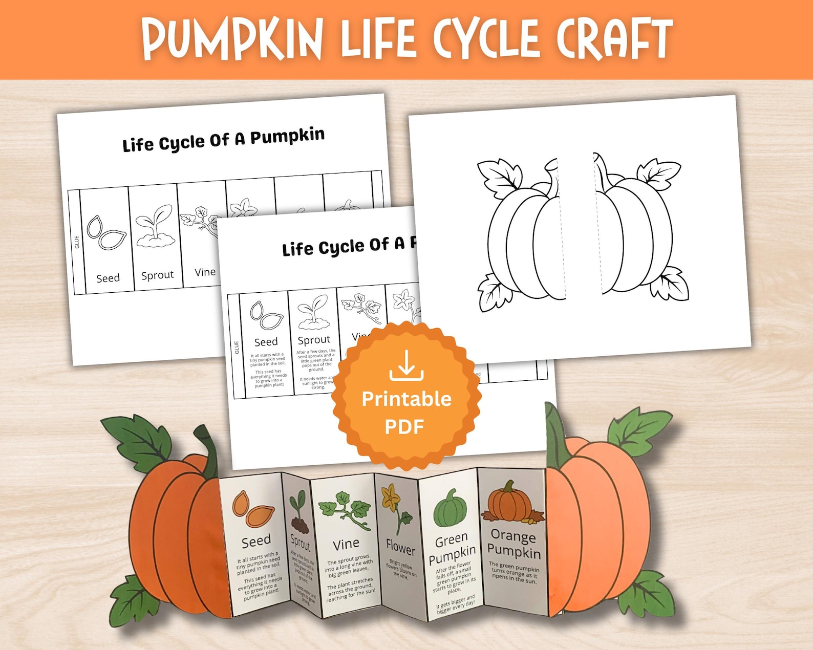 Pumpkin Life Cycle Folding Surprise Paper Craft, Fall Craft Printable ...