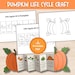 Pumpkin Life Cycle Folding Surprise Paper Craft, Fall Craft Printable ...