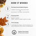 Fall Pass the Prize Game Printable, Autumn Party Game Poem ...