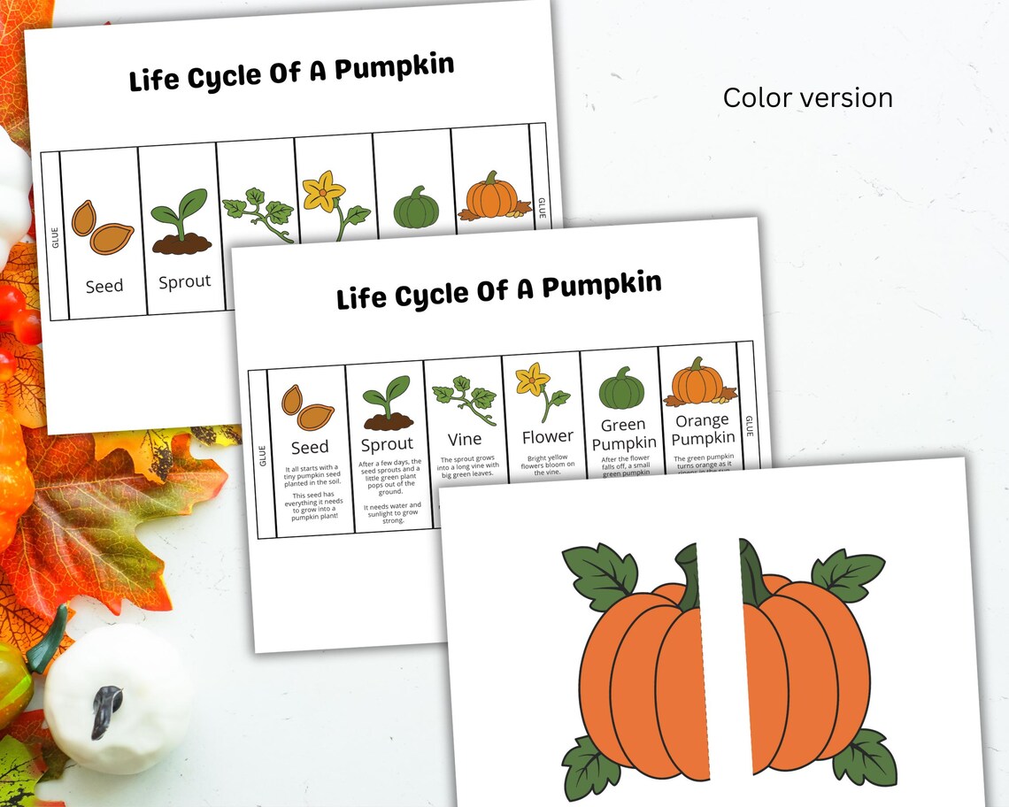 Pumpkin Life Cycle Folding Surprise Paper Craft, Fall Craft Printable ...