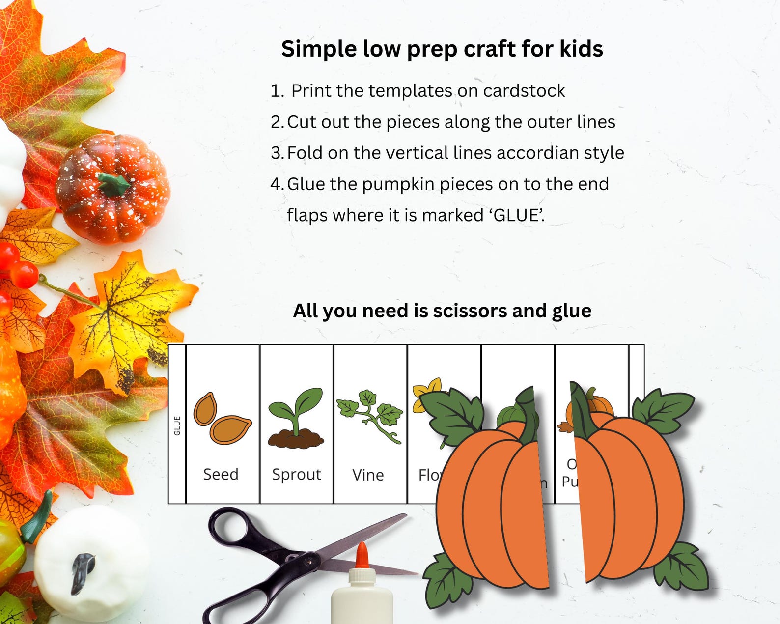 Pumpkin Life Cycle Folding Surprise Paper Craft, Fall Craft Printable ...