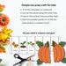Pumpkin Life Cycle Folding Surprise Paper Craft, Fall Craft Printable ...