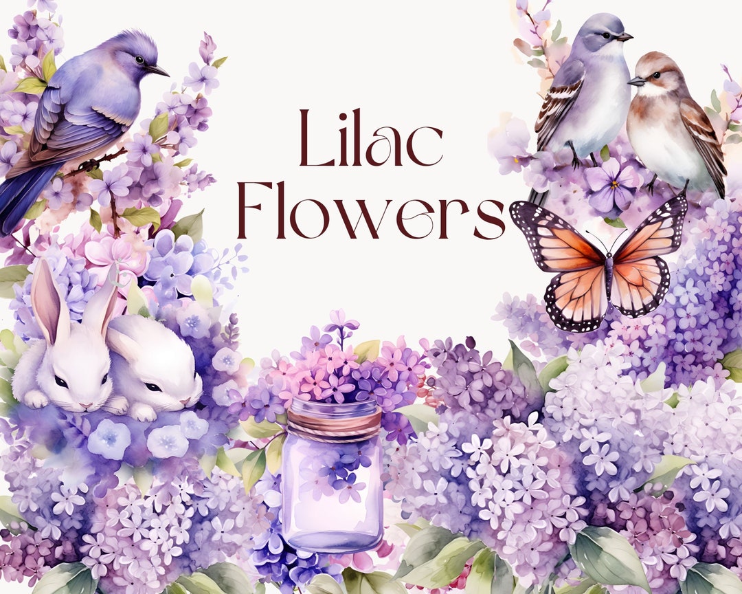 Lilac Floral Clipart - 100+ Floral Elements, Watercolor Flowers Clipart ...