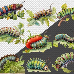 Caterpillar Clipart, Watercolor Spring Bug Insect, Cute Caterpillar ...