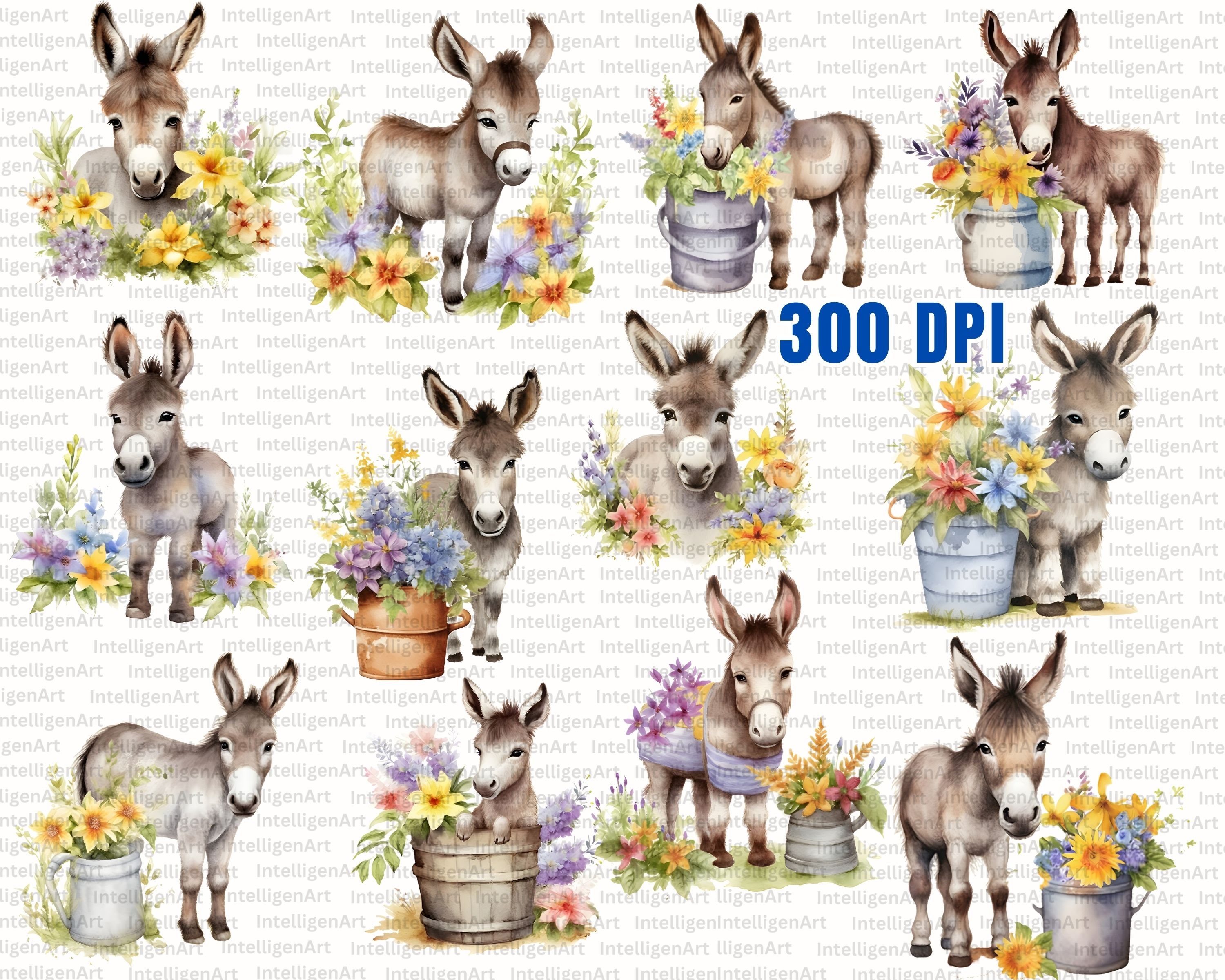 Baby Donkey Clipart Cute Farm Animals Baby Wildlife Baby - Etsy UK