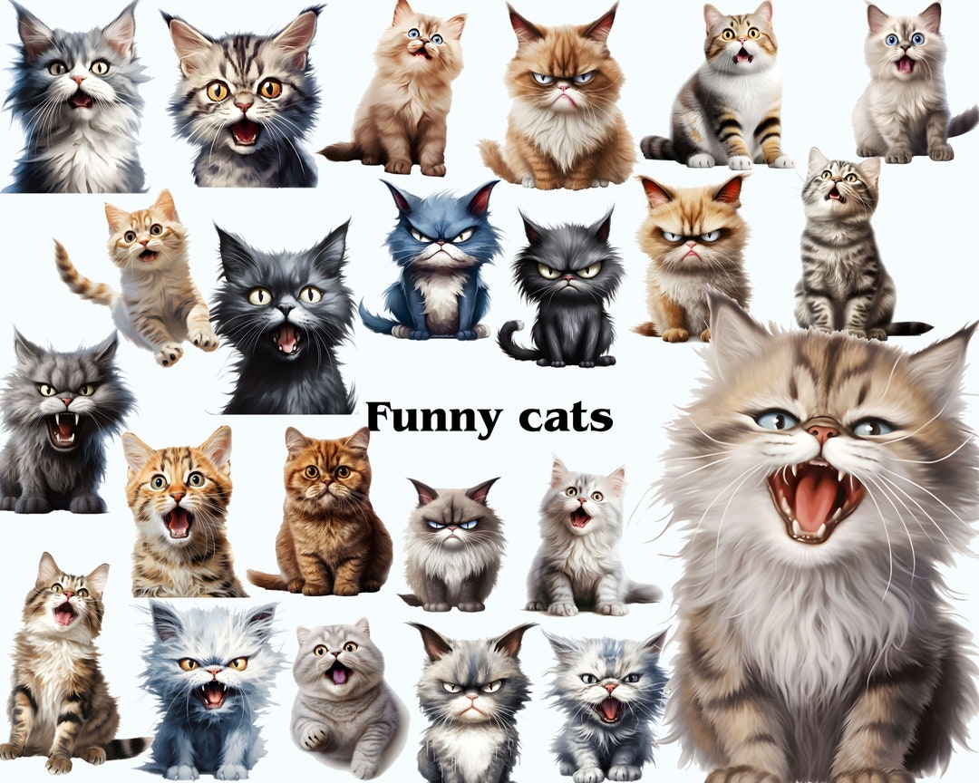 Funny Cat Clipart, Grumpy Cat Graphics, Cute Cats Clipart, Funny Animal ...