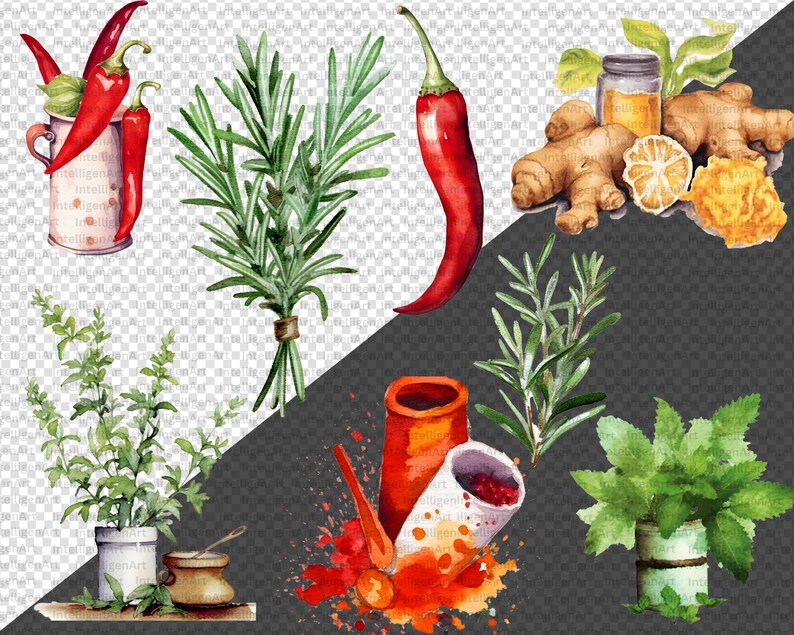 Watercolor Herbs Spices Clipart Png-kitchen - Etsy