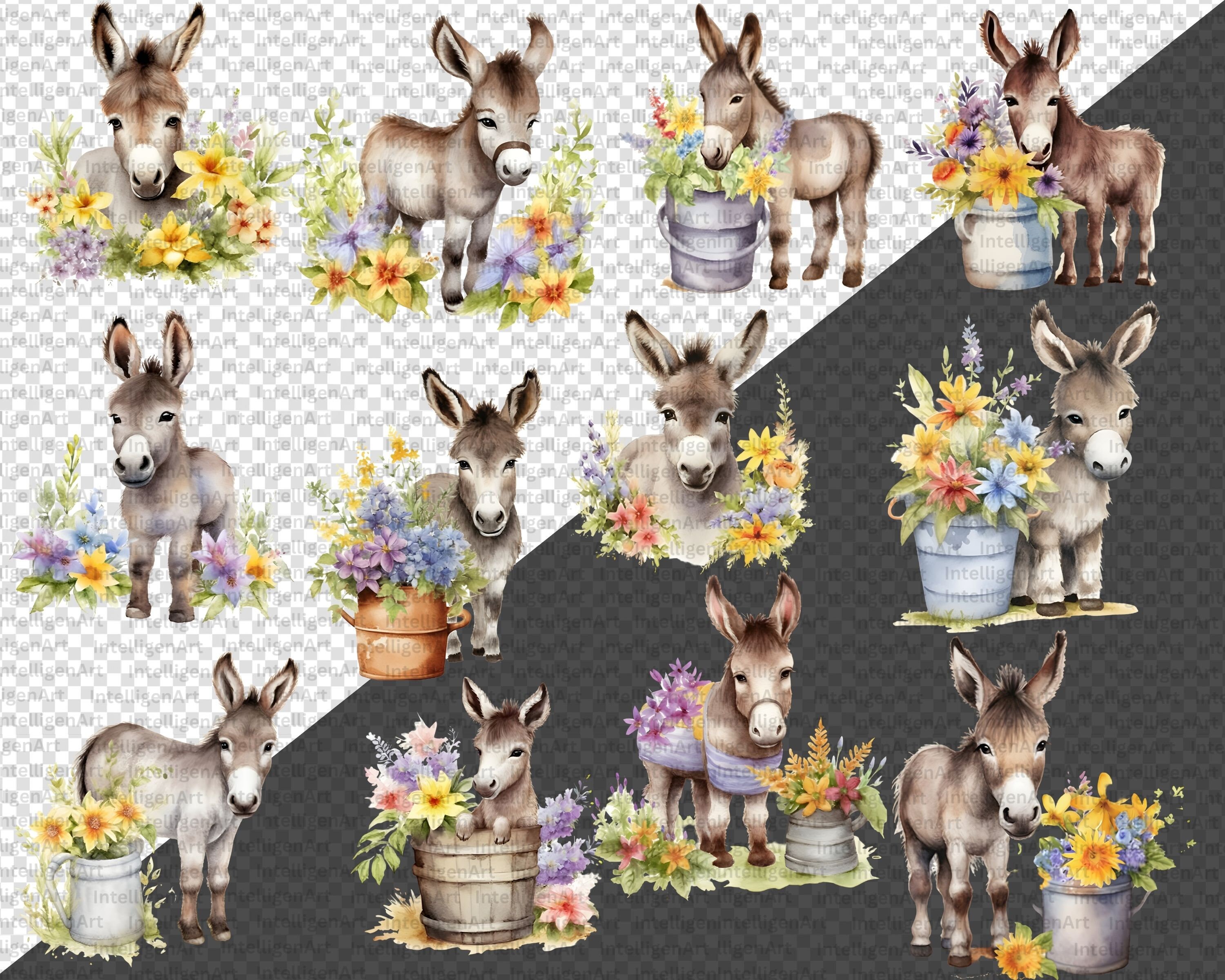 Baby Donkey Clipart Cute Farm Animals Baby Wildlife Baby - Etsy UK