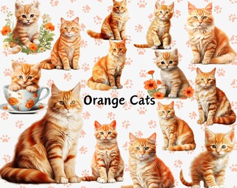 Watercolor Orange Cat Bundle Clipart PNG Commercial Use Instant ...