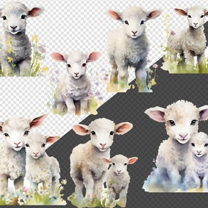 Lamb Clipart Watercolour PNG Floral Little Sheep Spring Lamb Clip Art ...