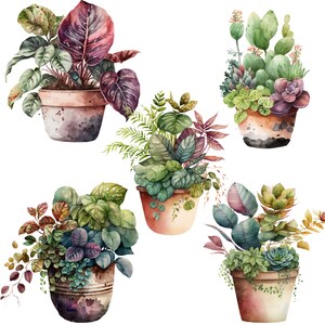 Watercolor Potted Plants Clipart, Greenery Clip Art House Plant PNG ...