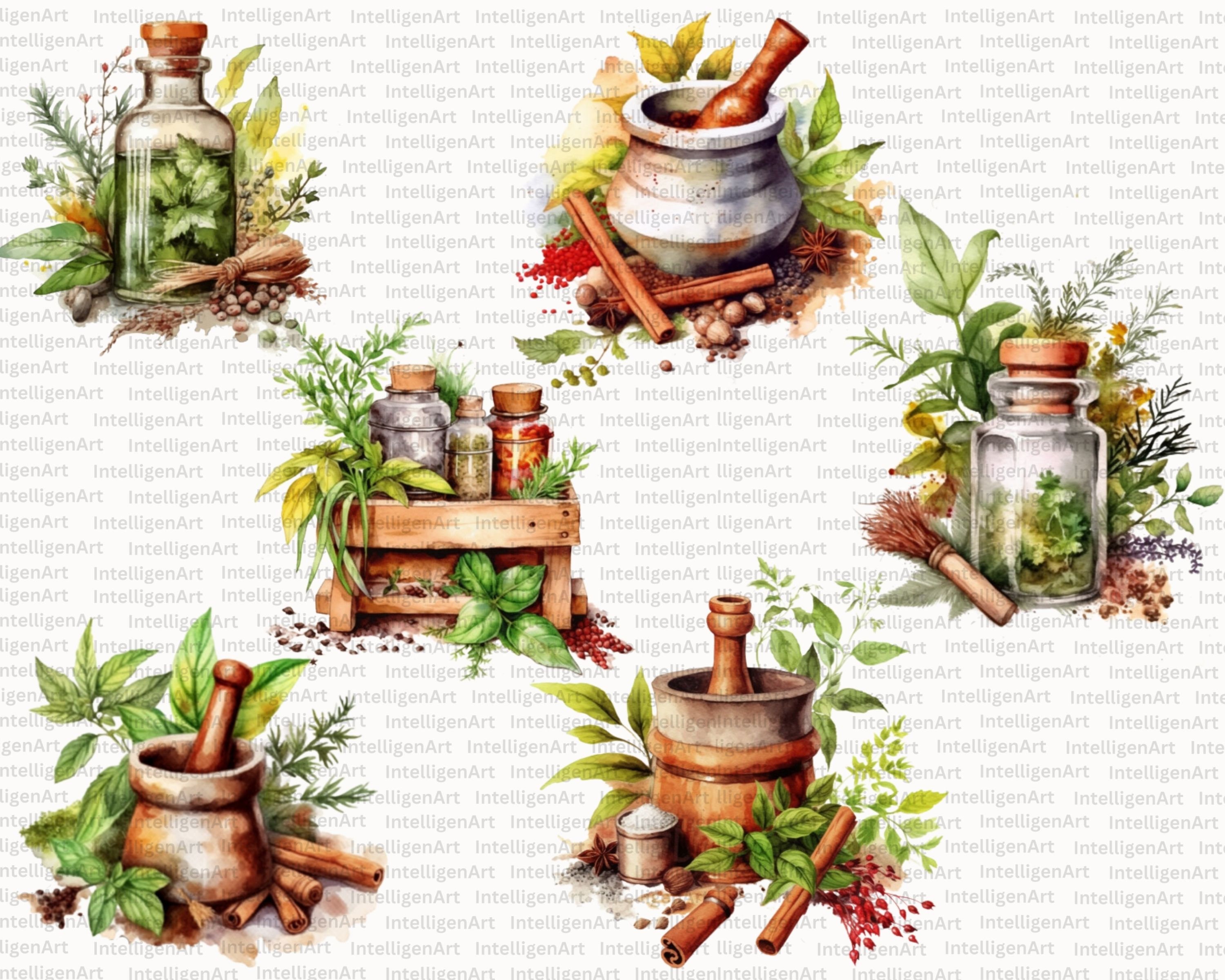 Herbs & Spices Clipart Watercolor Herbs Cooking Seasoning - Etsy