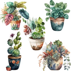 Watercolor Potted Plants Clipart, Greenery Clip Art House Plant PNG ...