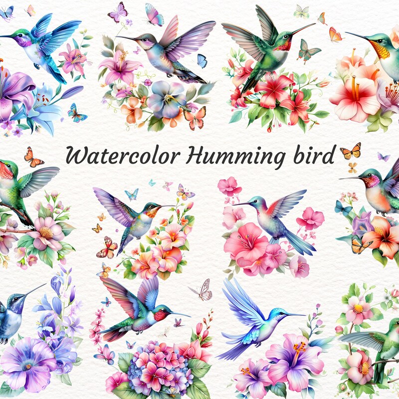 Blue Hummingbird Watercolor Clipart - Etsy
