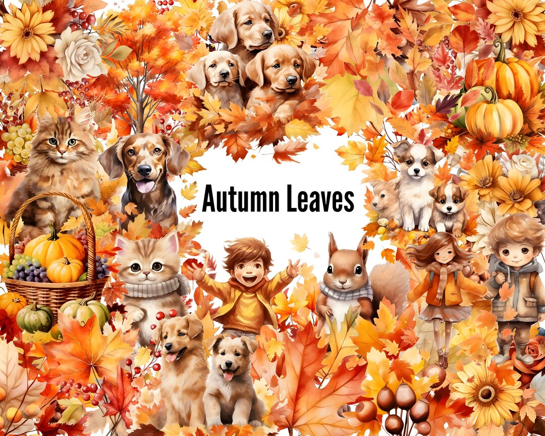 Autumn Leaves Watercolor Clipart - 300+ Fall Leaf Images, Autumn ...
