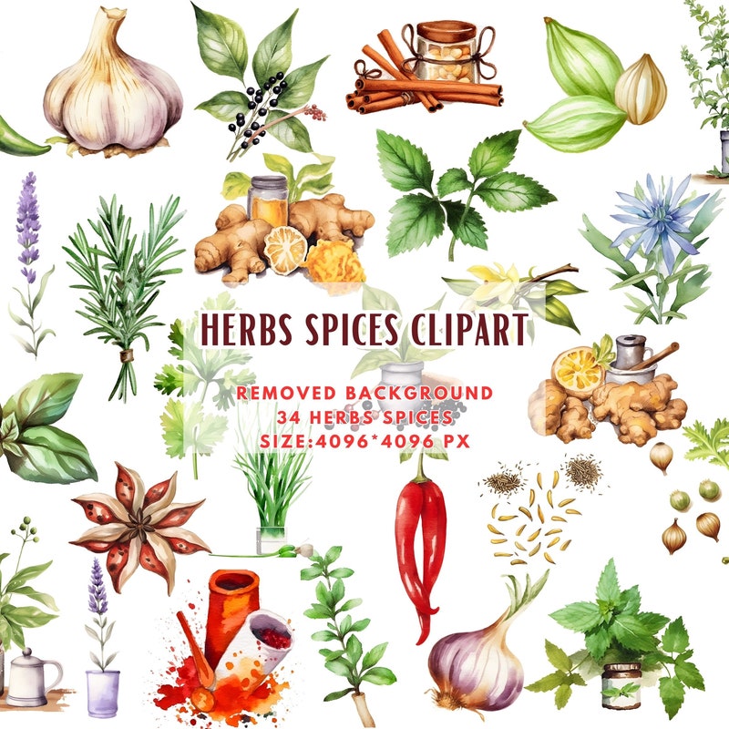 Watercolor Herbs - Etsy