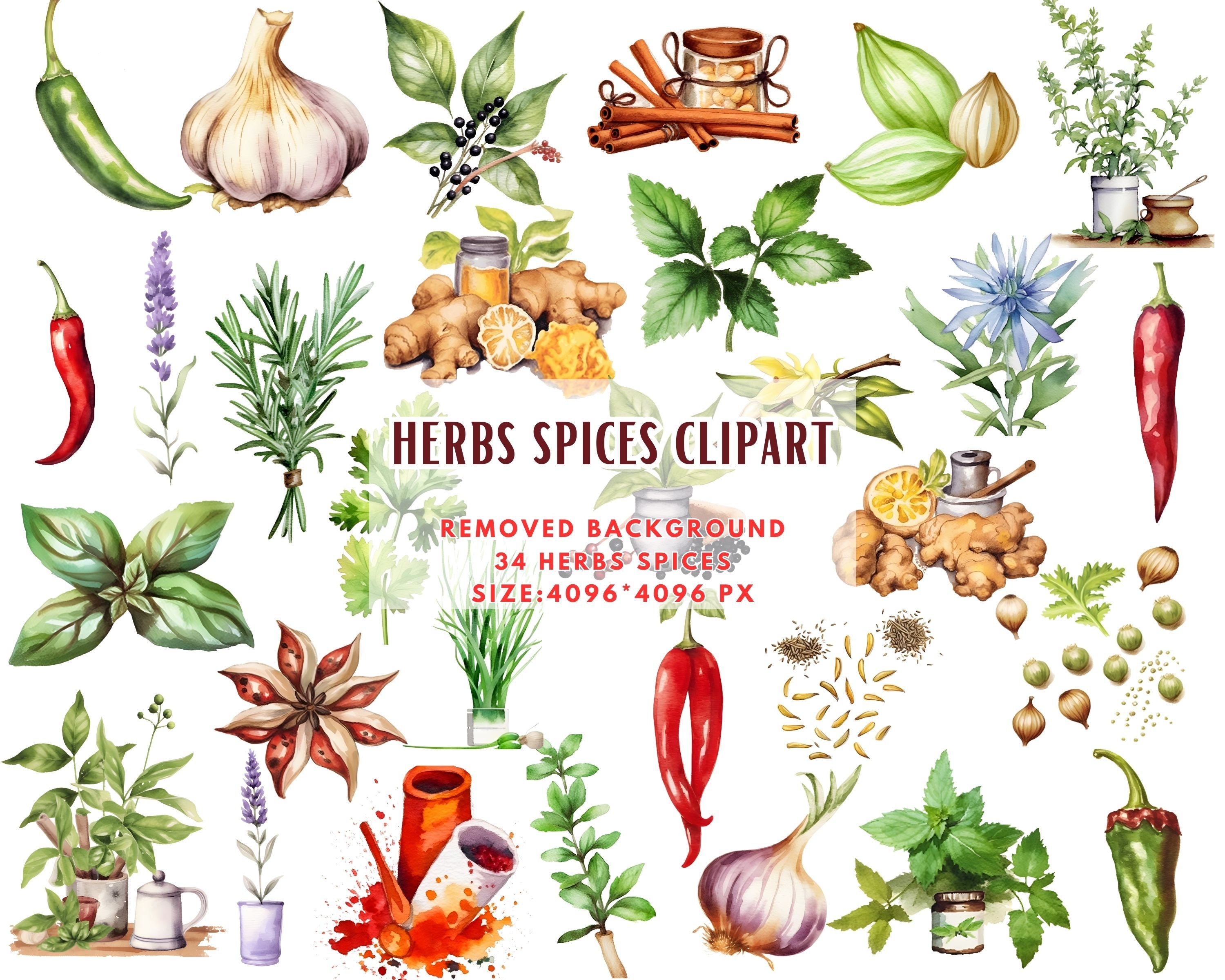 Watercolor Herbs Spices Clipart Png-kitchen - Etsy