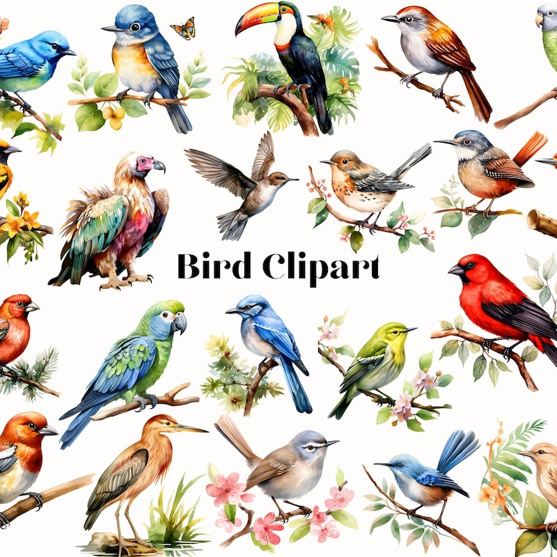 Clipart Bird - Etsy