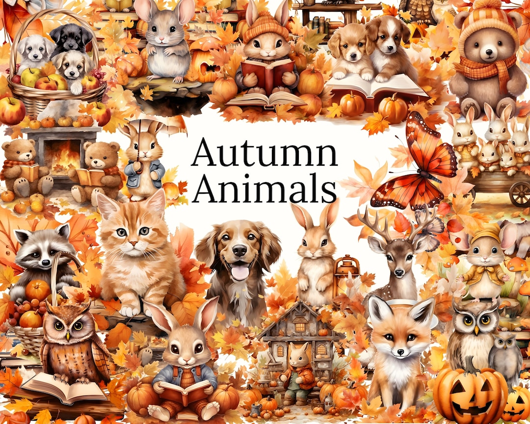Autumn Animals Clipart - 400+ Cute Fall Animal Images, Cute Pet ...