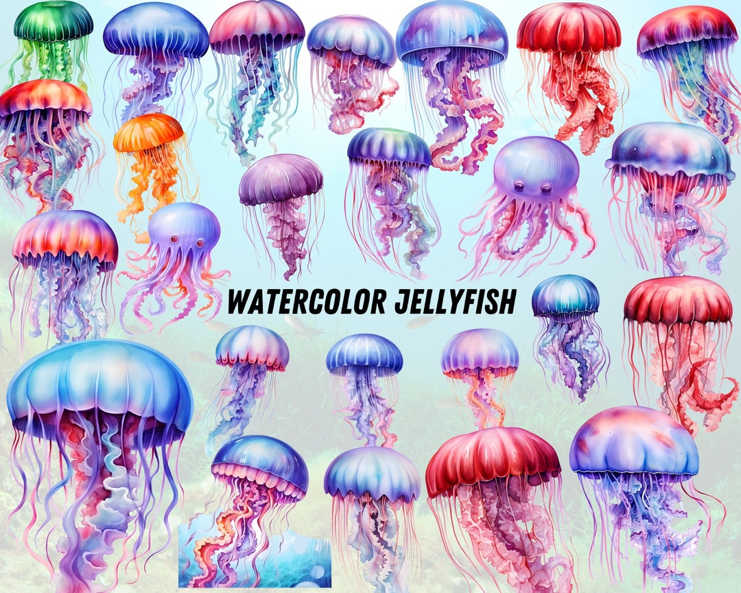 Jellyfish Clipart, Marine Watercolor Illustrations, Undersea Jellyfish ...