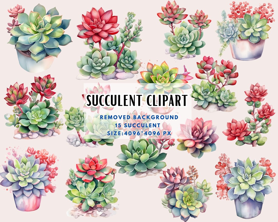 Watercolor Succulent Clipart PNG Succulent Graphics, Plants, Desert ...
