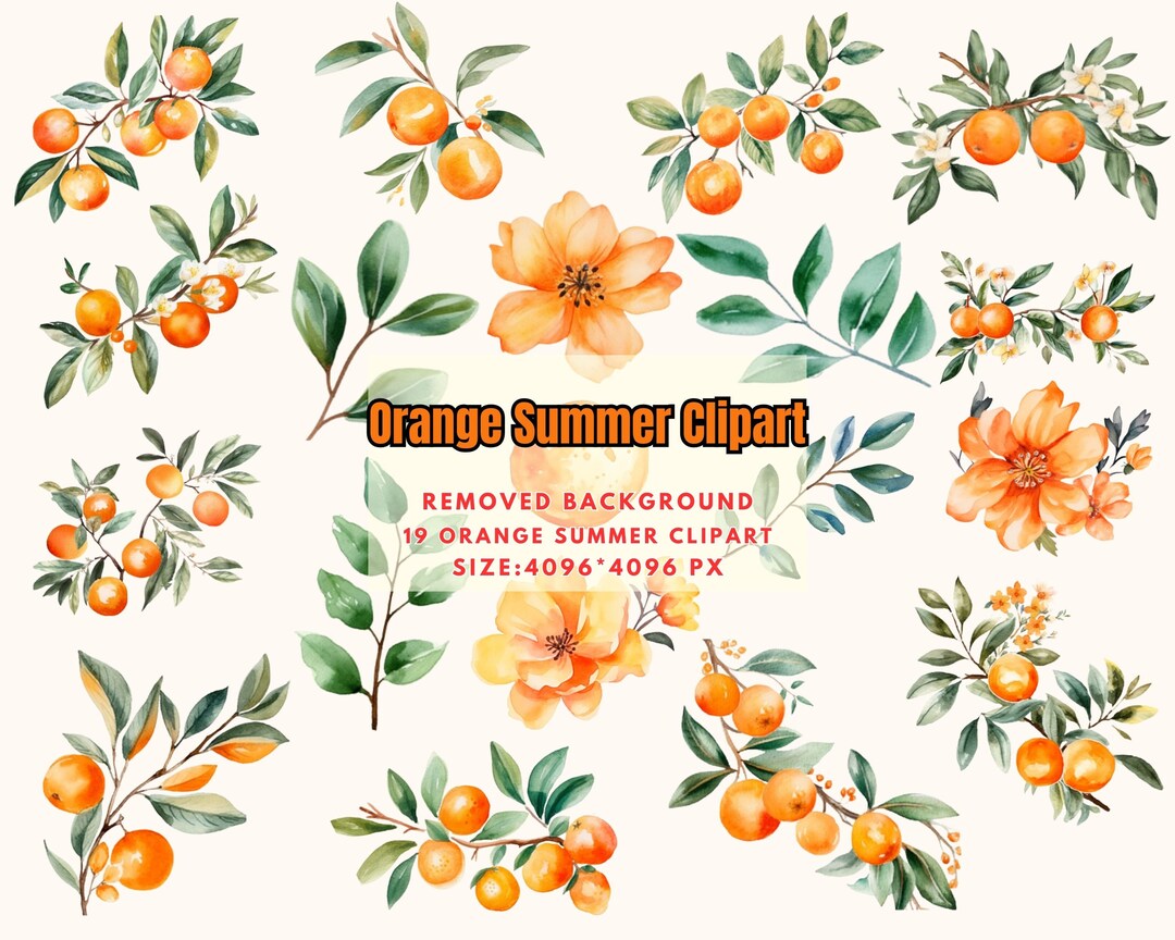 Orange Summer Clipart - Summer Citrus Clip Art, Tropical Citrus ...
