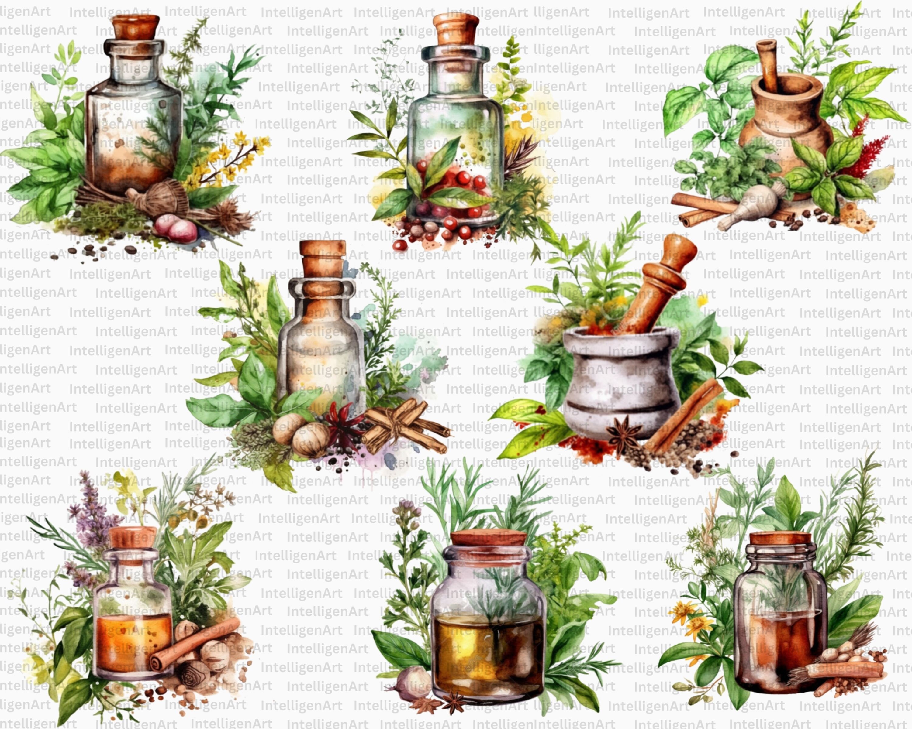 Herbs & Spices Clipart Watercolor Herbs Cooking Seasoning - Etsy