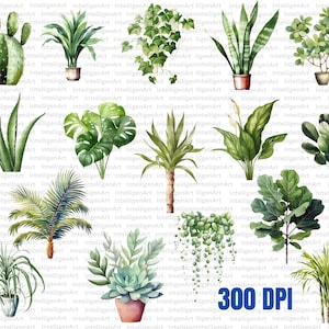 Indoor Plants Clipart-watercolor Houseplants, Botanical House Plant ...