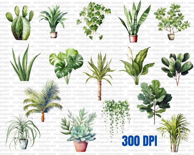 Indoor Plants Clipart-watercolor Houseplants Botanical House - Etsy