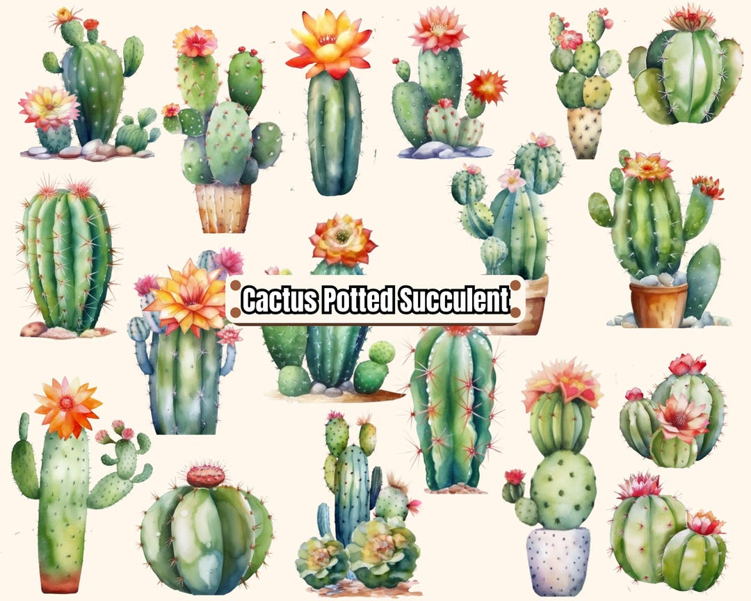Cactus Watercolor Clipart, Southwestern Desert, Commercial Use,tropical ...