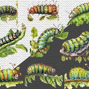 Caterpillar Clipart, Watercolor Spring Bug Insect, Cute Caterpillar ...