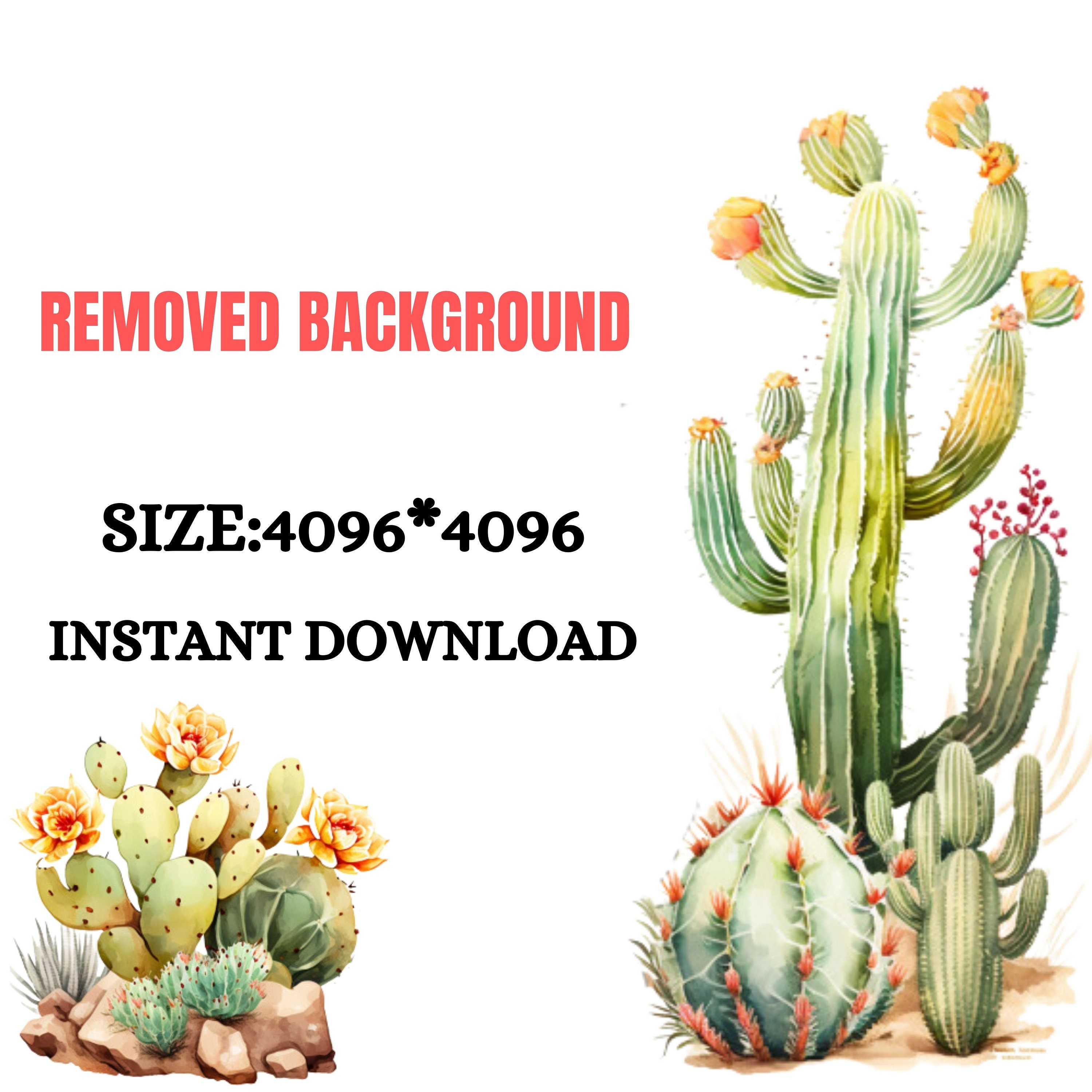 Watercolor Cactus Clipart PNG Illustration Bundle Printable - Etsy