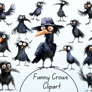 Funny Crows Clipart, Cute Caricature Birds Clipart, Raven Illustrations ...