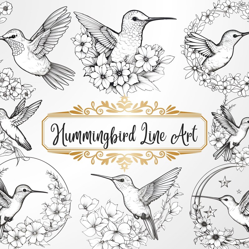 Hummingbird Logo - Etsy