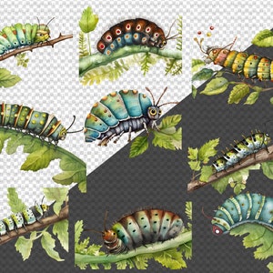 Caterpillar Clipart, Watercolor Spring Bug Insect, Cute Caterpillar ...