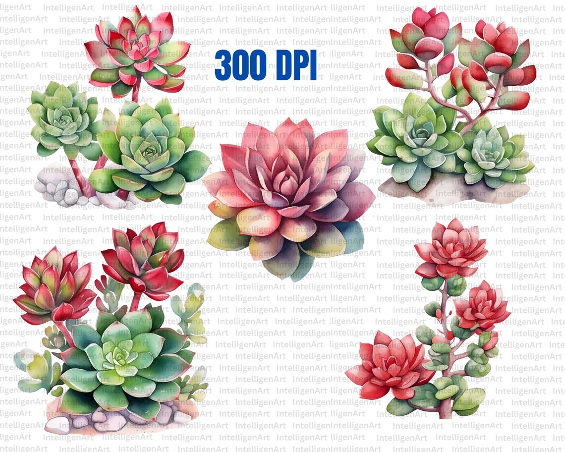 Watercolor Succulent Clipart PNG Succulent Graphics Plants - Etsy