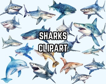 Watercolor Sharks Clipart Great White Shark Animals Fish - Etsy
