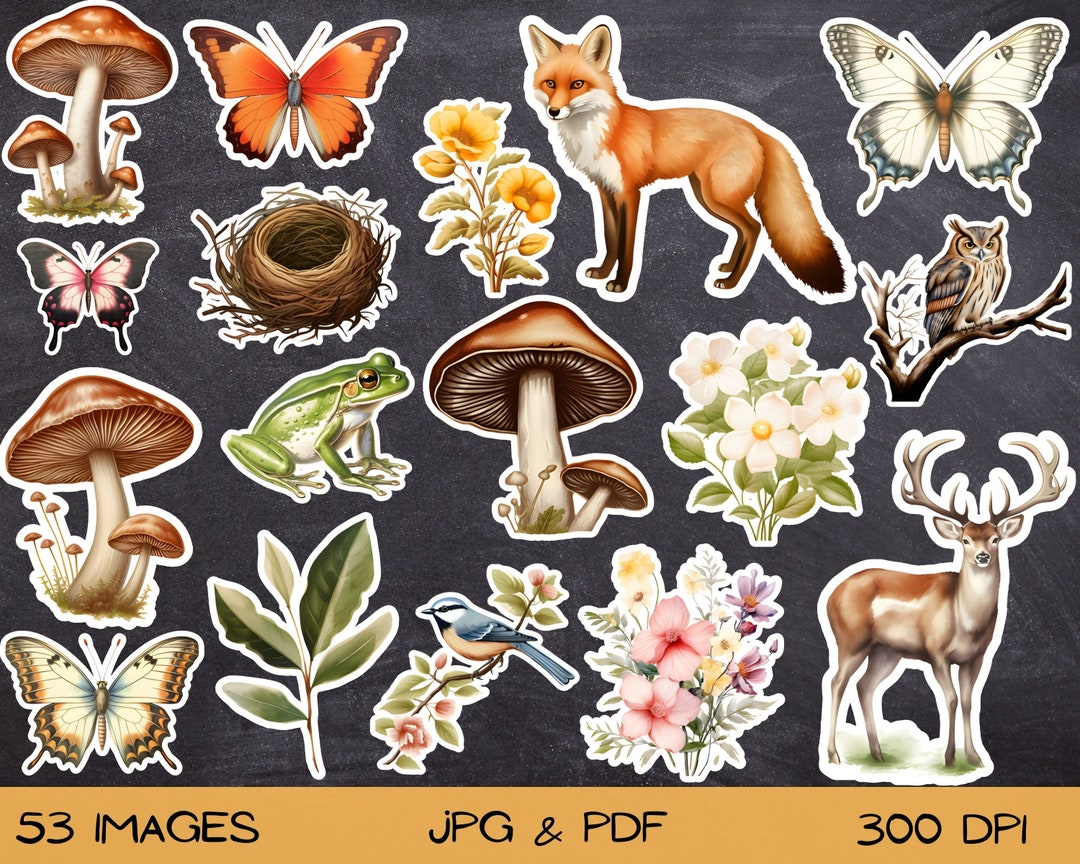Woodland Animals Fussy Cuts, Safari Animal Stickers, Printable Jungle ...